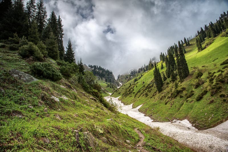 Snow from the Avalanches in the Gorge. Stock Photo - Image of river ...