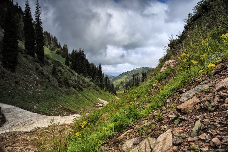 Snow from the Avalanches in the Gorge. Stock Photo - Image of snow ...