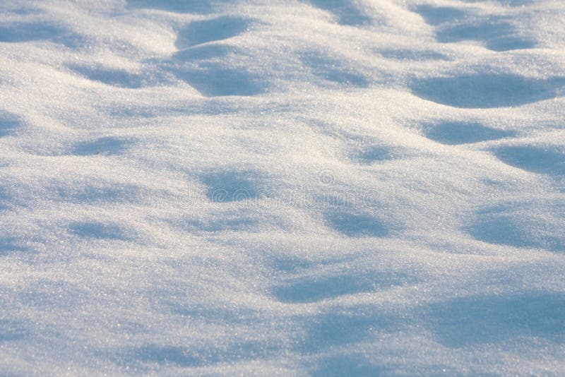 Snow background stock photo. Image of background, cold - 10853856
