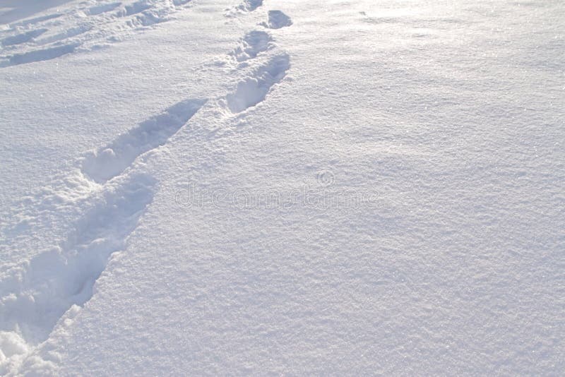 Background Footprints in the Snow Stock Image - Image of cold, season ...