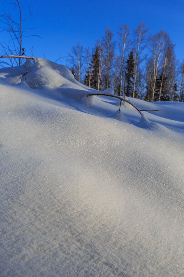 Snow Background, Sky, Blue Sky and Trees Stock Image - Image of white ...