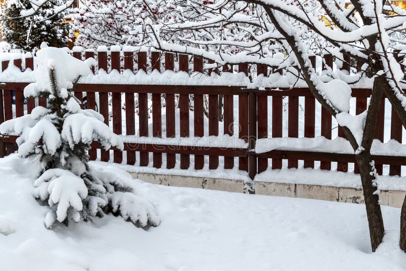 Snow in the backyard stock image. Image of outside, frozen - 170381335