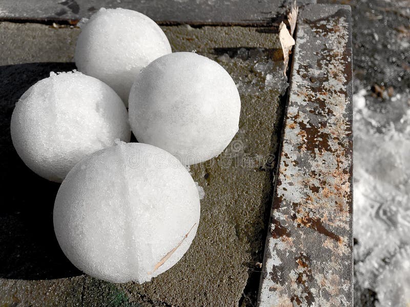 Snowballs - Separate Balls. Stock Photo - Image of yellow, prickly ...