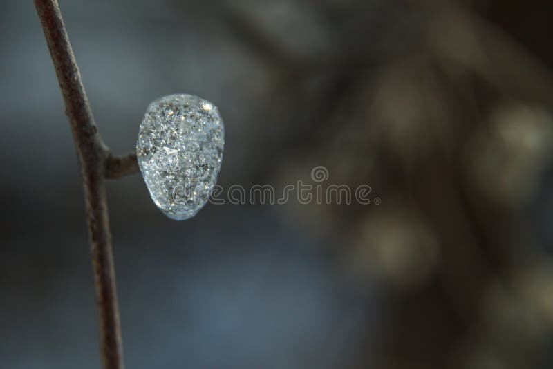 Snow beautiful stock image. Image of tree, macro, diamonds - 84077599