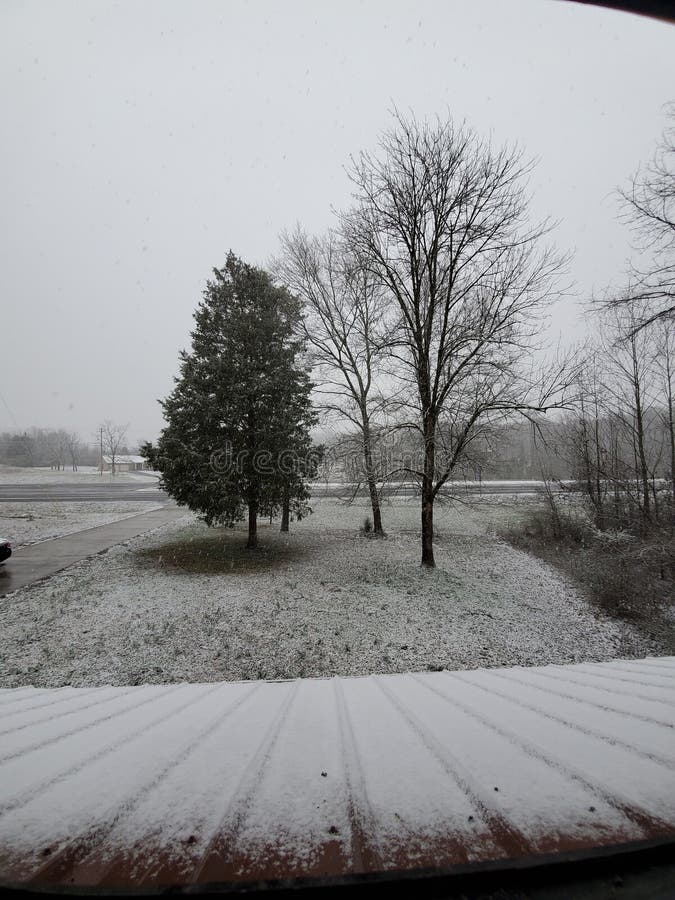 Snow Beautiful White Trees Winterland Stock Image - Image of white ...