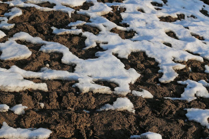 Snow Begins To Melt at the End of the Winter Stock Photo - Image of ...
