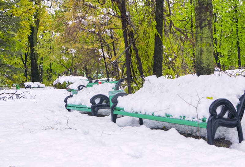 Snow on the bench stock photo. Image of trees, travel - 111060356
