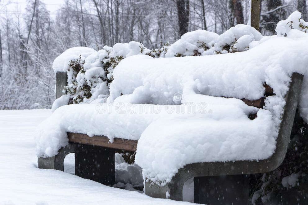 Snow on Bench in Park of Winter Stock Image - Image of cool, frost ...