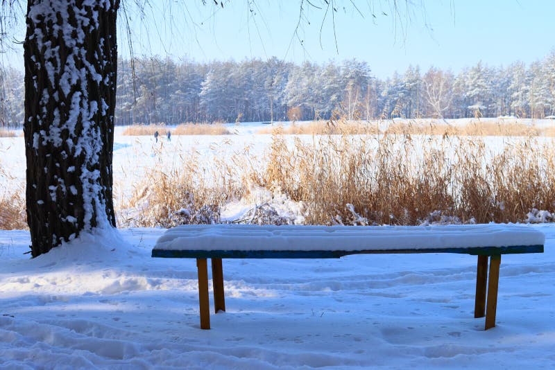 Snow Bench on the Shore of a Frozen Lake Stock Photo - Image of ...