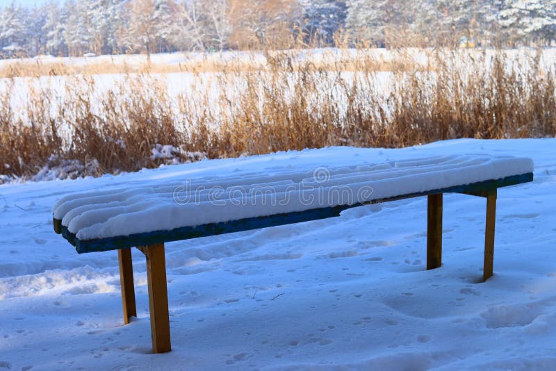 Snow Bench on the Shore of a Frozen Lake Stock Photo - Image of frost ...