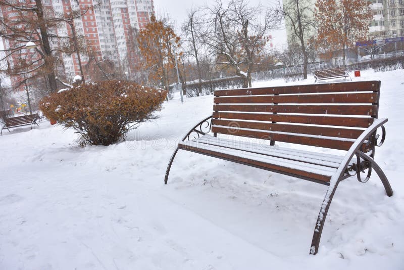 Snow Bench in the Winter Park, Rest in the Park Stock Image - Image of ...