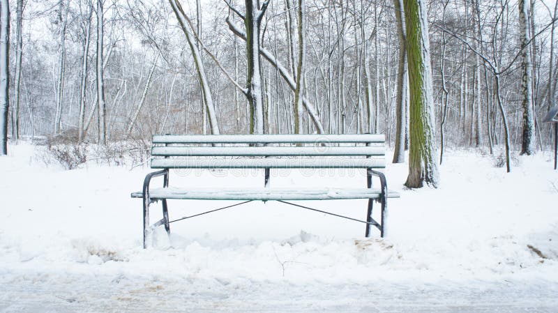 Snow on the Bench in Winter Stock Image - Image of landscape, forest ...