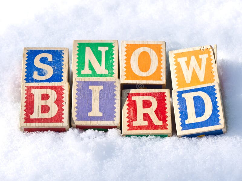 Snow Bird stock image. Image of letters, bird, freezing - 22931853