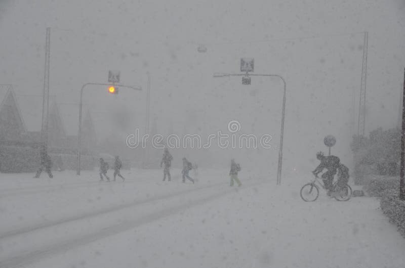 Snow Blizzard stock image. Image of snow, poor, traffic - 111473299