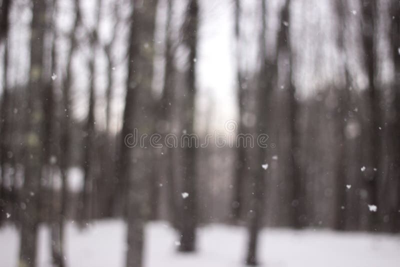 Snow on Blurred Background stock image. Image of winter - 85314365