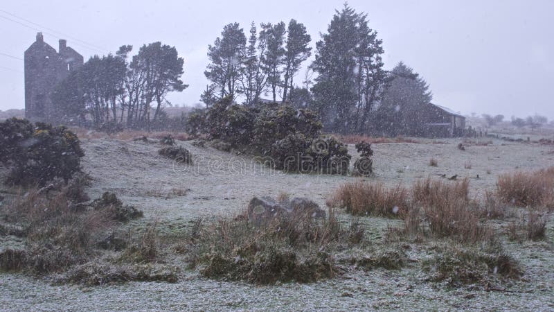 Snow on Bodmin Moor, 29.01.2019 Stock Photo - Image of texture, cold ...
