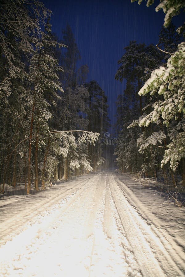 Snow-bound Road in the Forest at Nigh Stock Image - Image of pine ...
