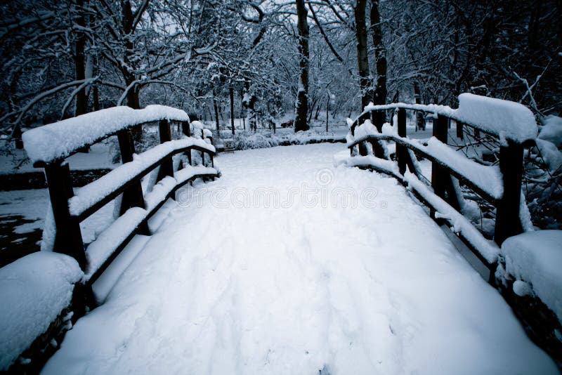 Snow bridge stock photo. Image of tree, scenic, footbridge - 18006674