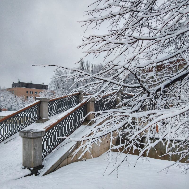Snow bridge in sloboda stock photo. Image of tree, bridge - 169804508