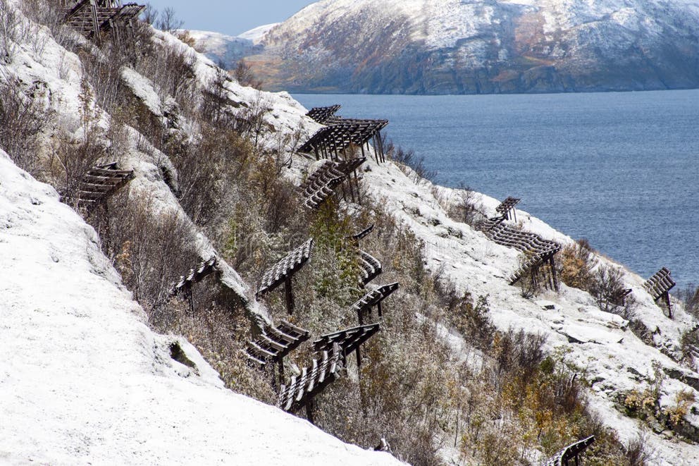Snow Bridges stock photo. Image of white, peak, slope - 386440638