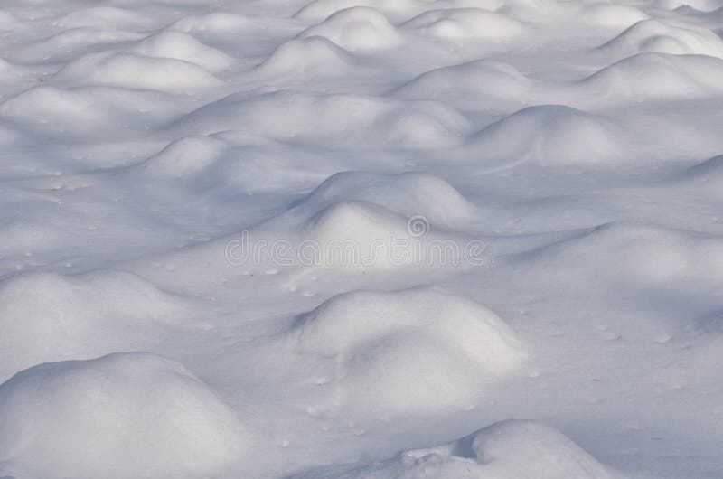 Snow bumps stock photo. Image of hill, cute, plants, shadows - 84821552