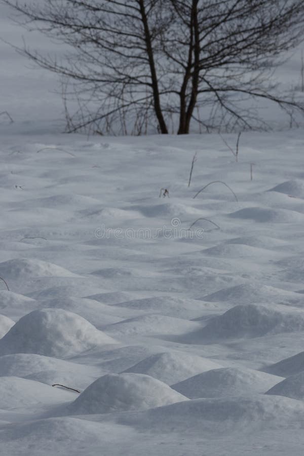 Snow bumps stock photo. Image of white, bump, climate - 86254566