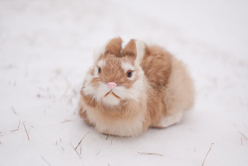 Snow bunny stock photo. Image of brown, fake, grass, animal - 63529648