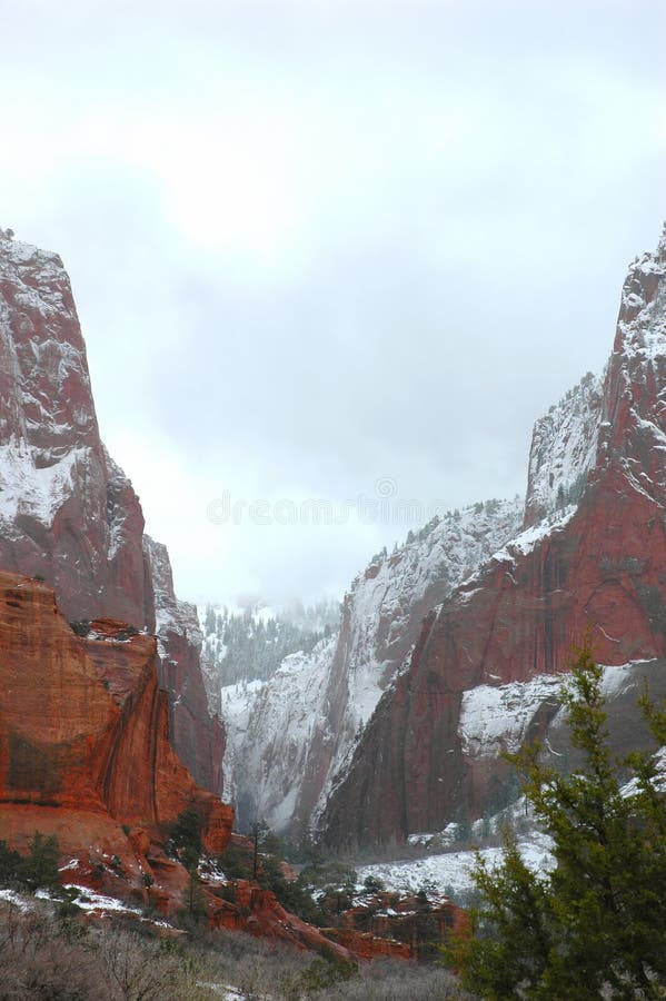 Snow in the Canyon stock image. Image of national, utah - 621017