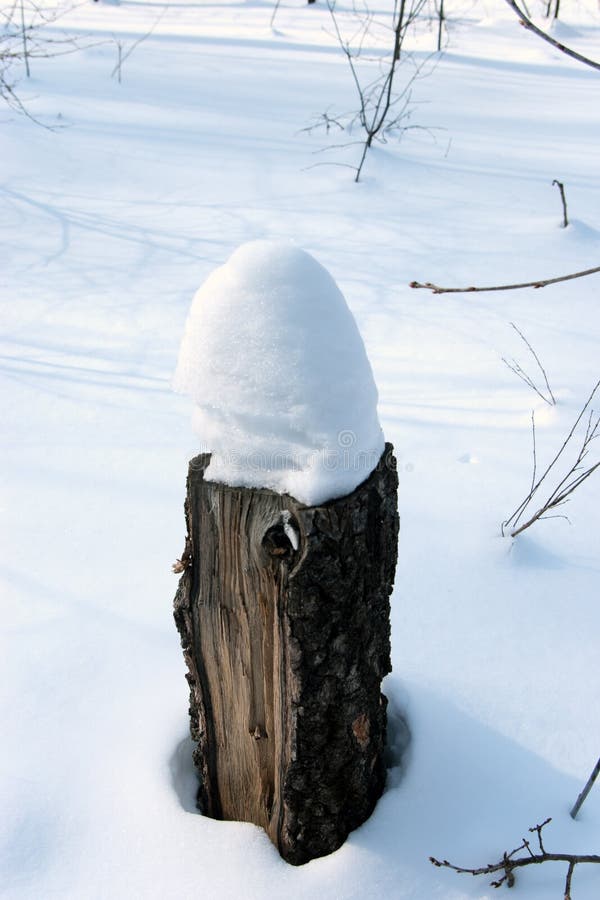 Snow cap stock image. Image of stub, trunk, destroy, nature - 13261823