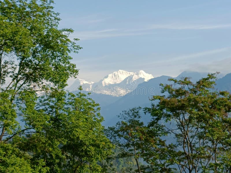 Snow Capped Kanchenjunga Peak Shot between the Trees Stock Photo ...