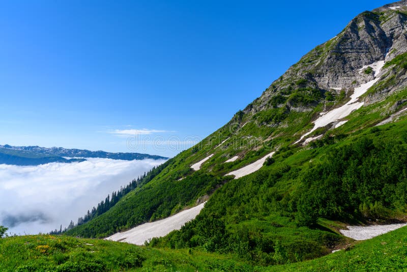 The Snow-capped Mountain Peaks in the Tropical Forest. Stock Image ...