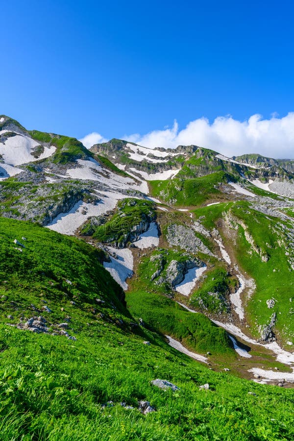 The Snow-capped Mountain Peaks in the Tropical Forest. Stock Image ...