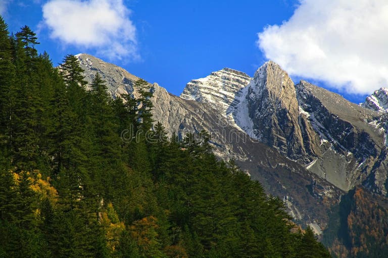 Snow-capped Mountain and Pines Stock Image - Image of clear, beauty ...