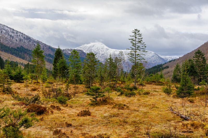 Snow-capped Mountain View with Lush Greenery in a Tranquil Valley ...