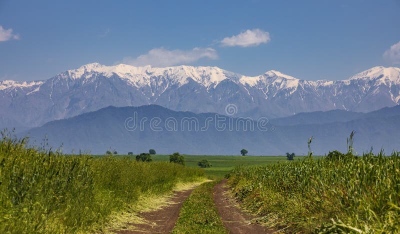 Snow-capped Mountains and Green Fields in Spring Stock Photo - Image of ...