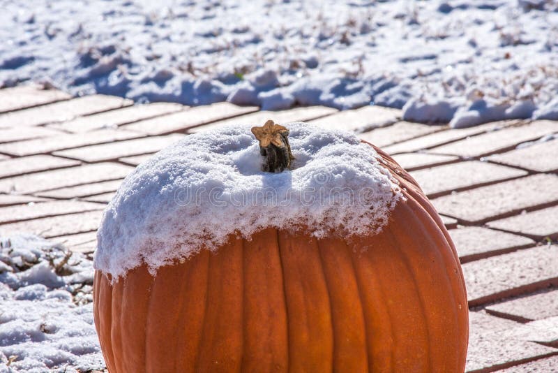 Snow-Capped Pumpkin stock photo. Image of halloween, horizontal - 38117550