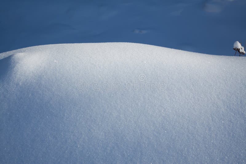 Snow carpet stock image. Image of chill, blue, covered - 23355555