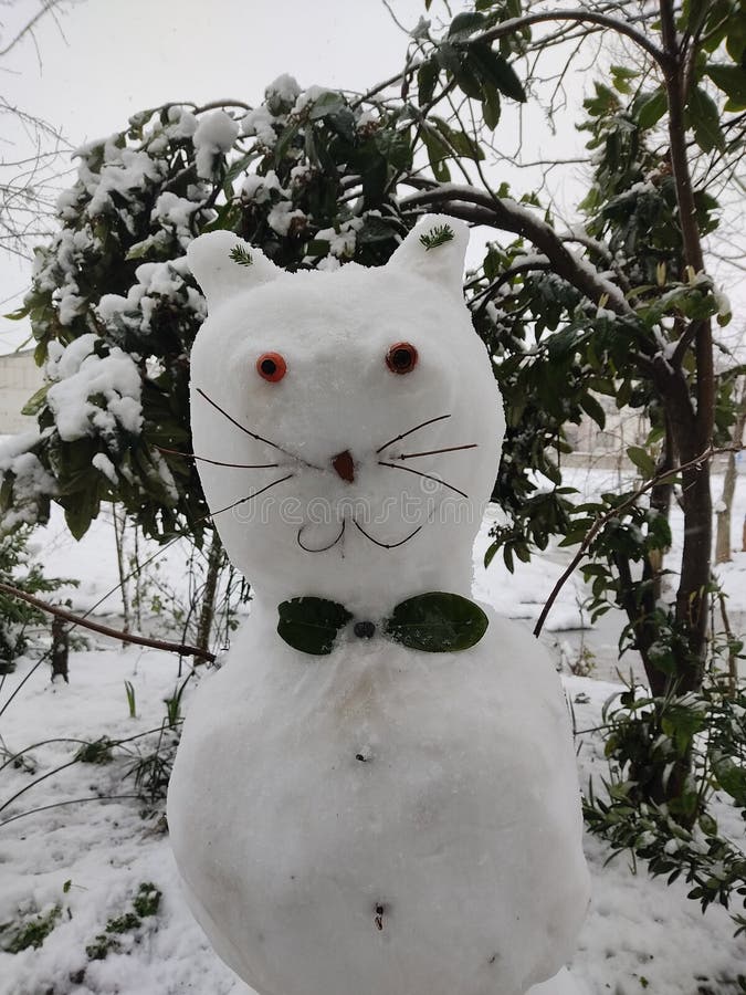 The snow cat stock photo. Image of spring, frost, twig - 226226458