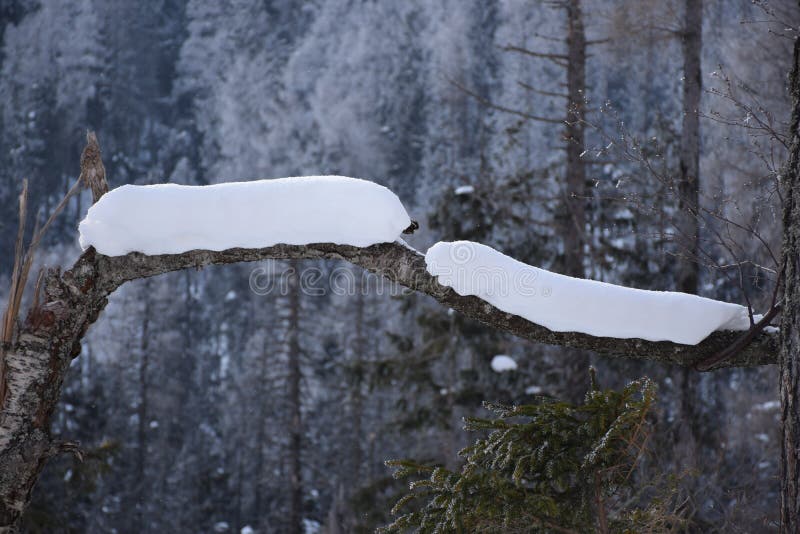 Snow caterpillar stock image. Image of caterpillar, snow - 111307713