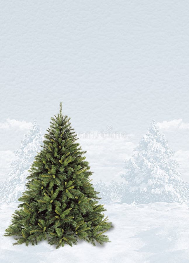 Snow Christmas Tree stock image. Image of background - 46162987