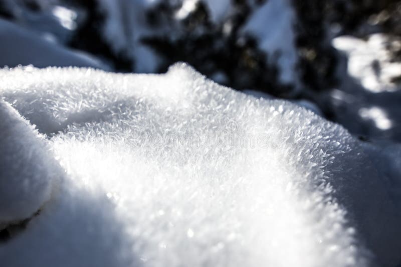 Snow close up stock photo. Image of climate, trip, breaking - 83060816