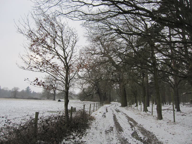 Countryside Snow stock image. Image of cold, track, trees - 112524235