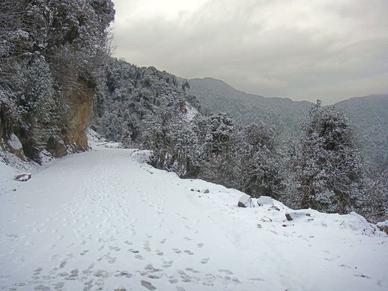 Snow Cover Road with Foot Steps Stock Photo - Image of south, assam ...