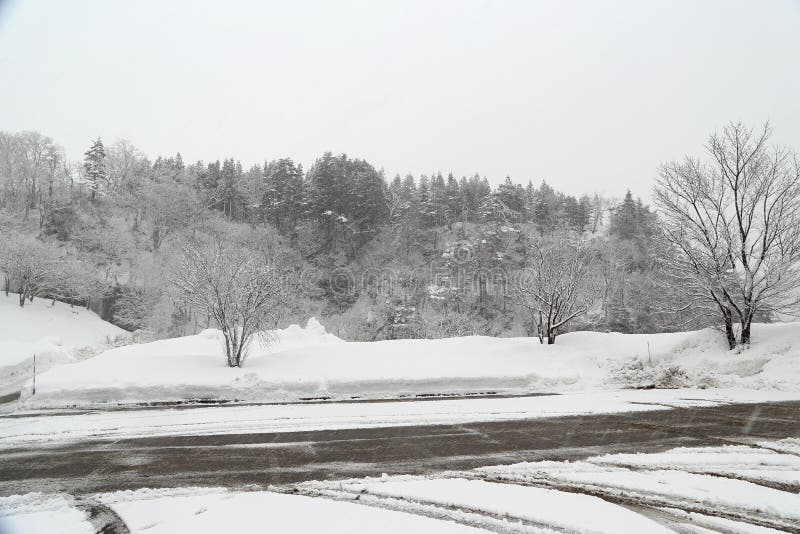 Snow stock image. Image of cold, park, covered, february - 111725787