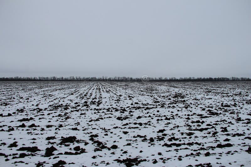 Snow Covered Agricultural Field in Bad Weather Stock Photo - Image of ...