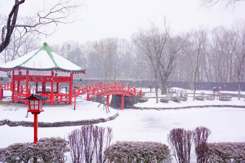 Covered Arbor stock photo. Image of cross, support, woody - 46106158