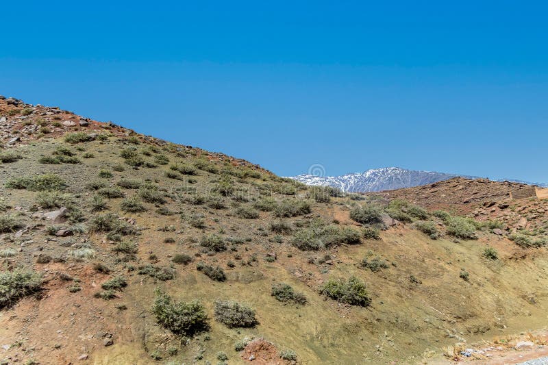 Snow Covered Atlas Mountains and Pine Forest between Marrakesh and ...