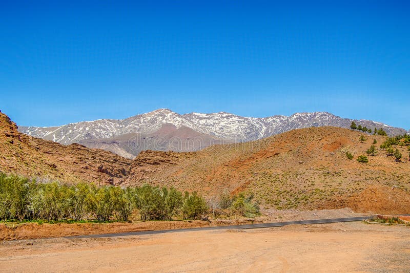 Snow Covered Atlas Mountains and Pine Forest between Marrakesh and ...