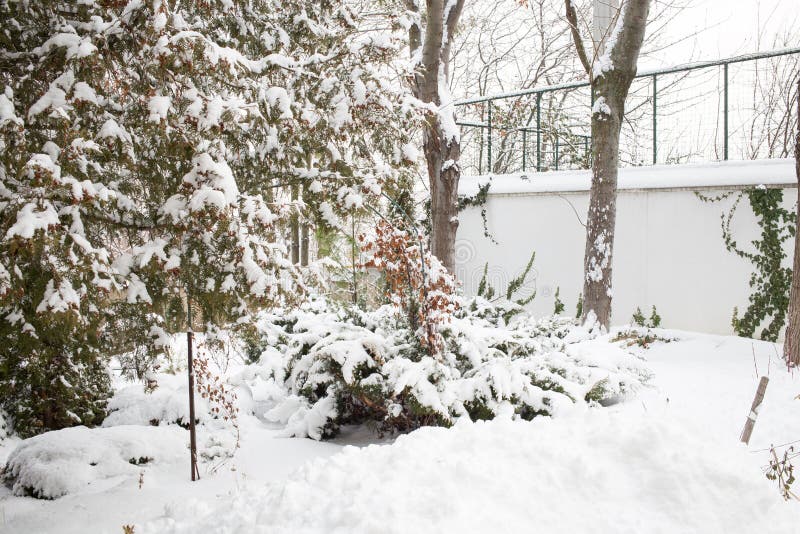 Snow covered backyard. stock image. Image of season - 139529577