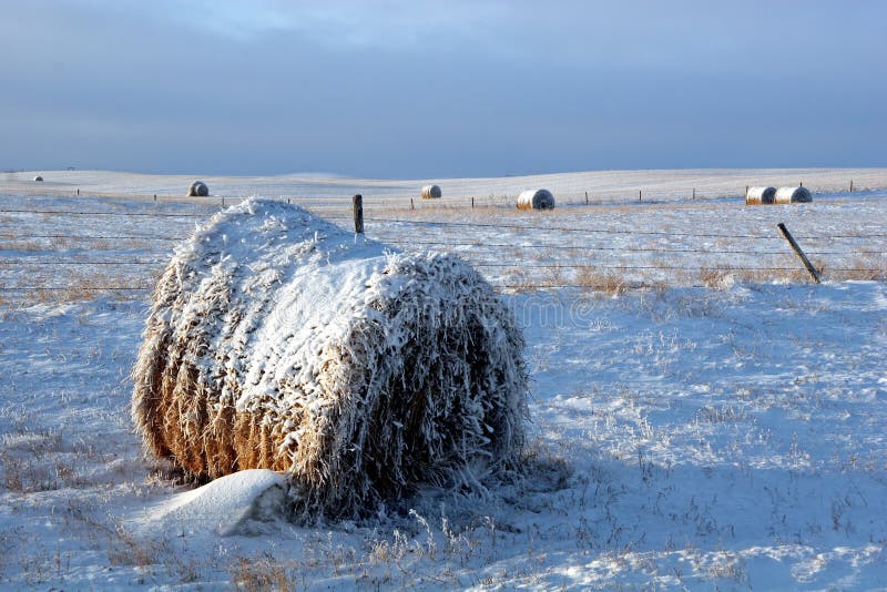 Snow Covered Bale in Field stock image. Image of winter - 567711